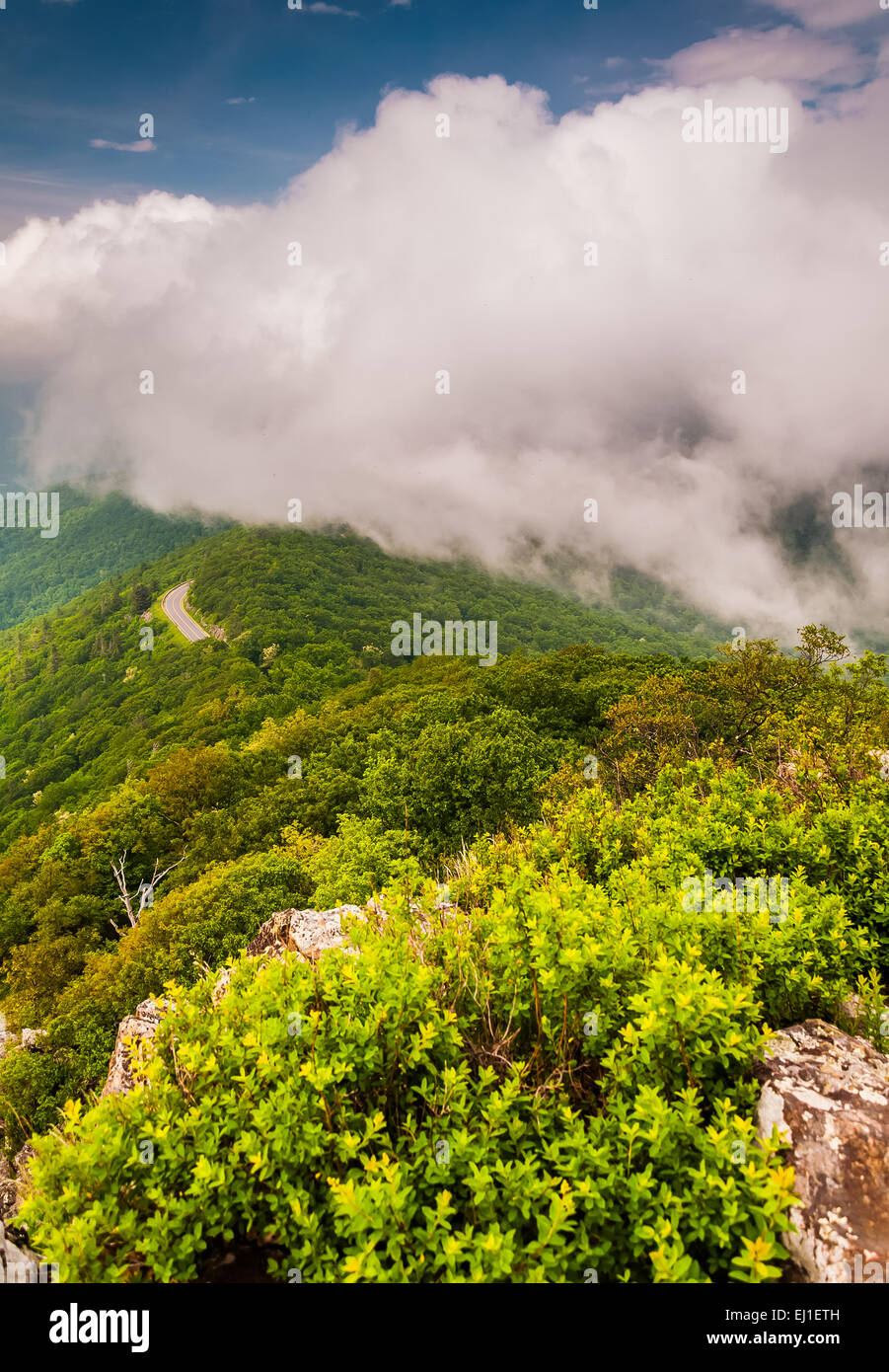 Low clouds over the Blue Ridge Mountains, seen from Little Stony Man ...