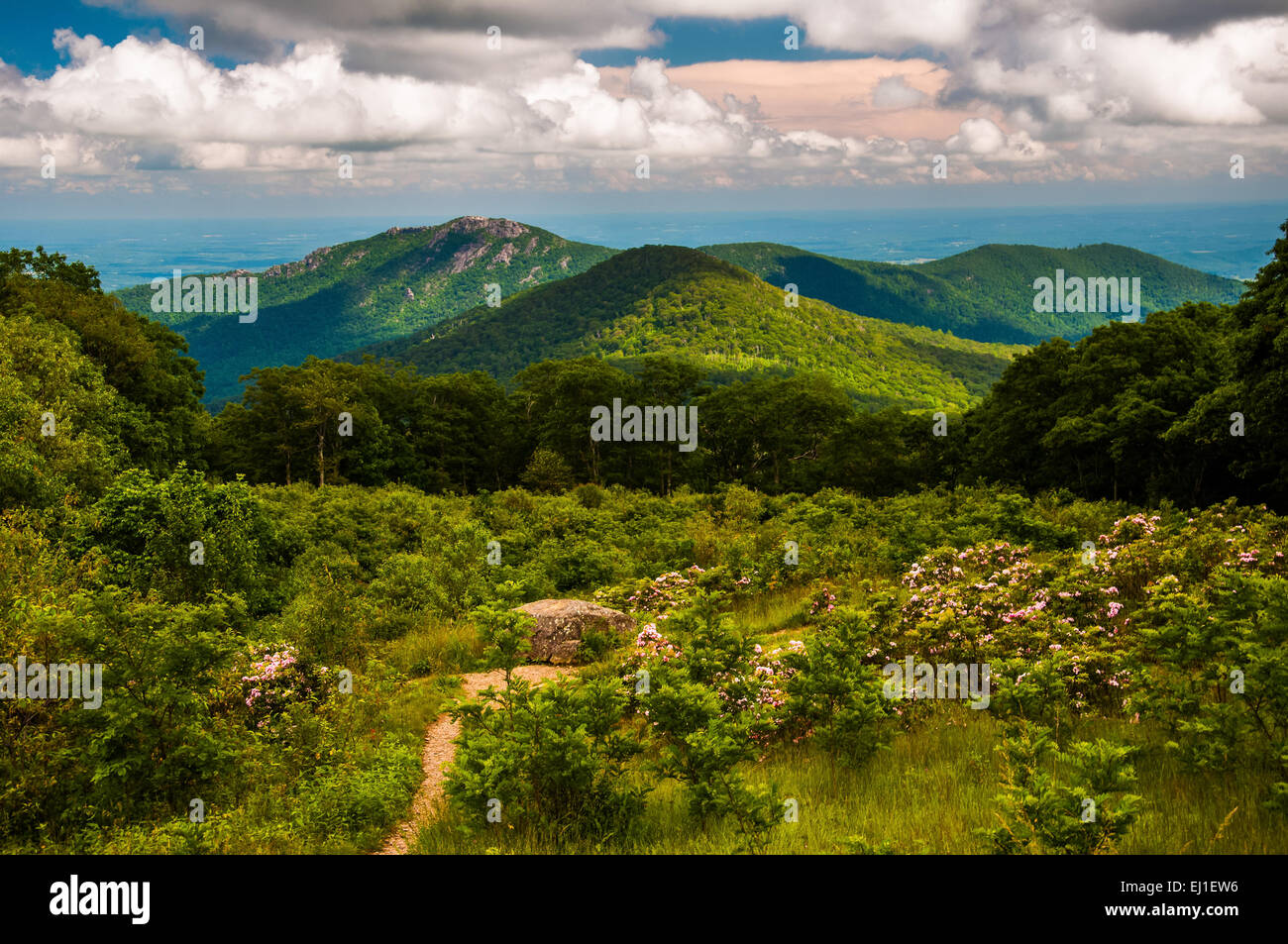 Old rag shenandoah national park va hi-res stock photography and images ...