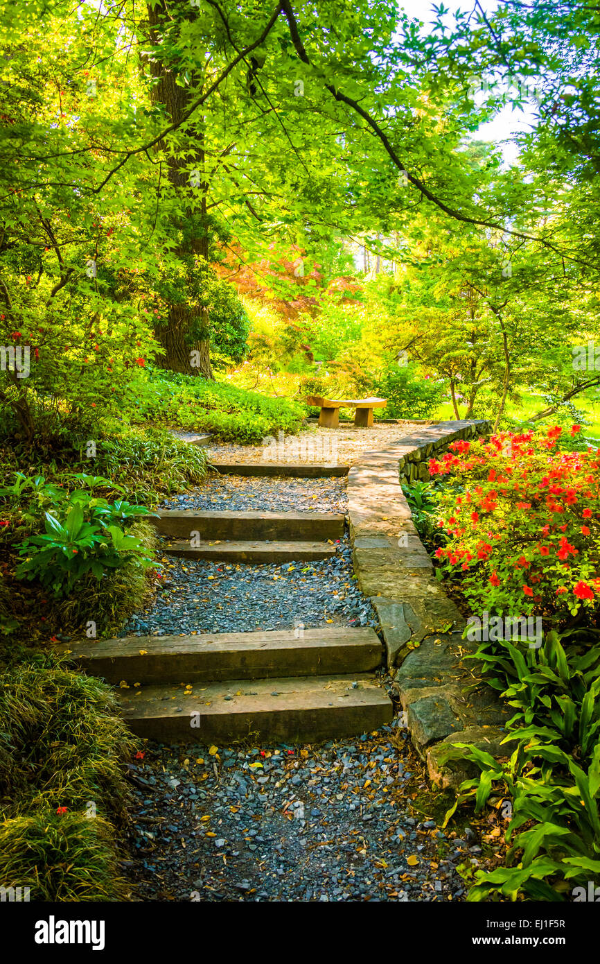 The National Arboretum High Resolution Stock Photography and Images - Alamy
