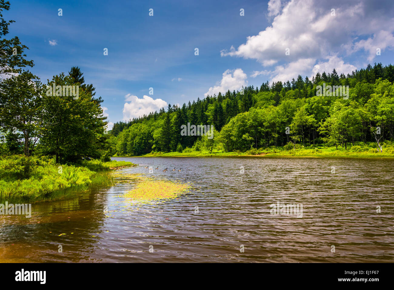 Pendleton Lake, at Blackwater Falls State Park, West Virginia Stock ...