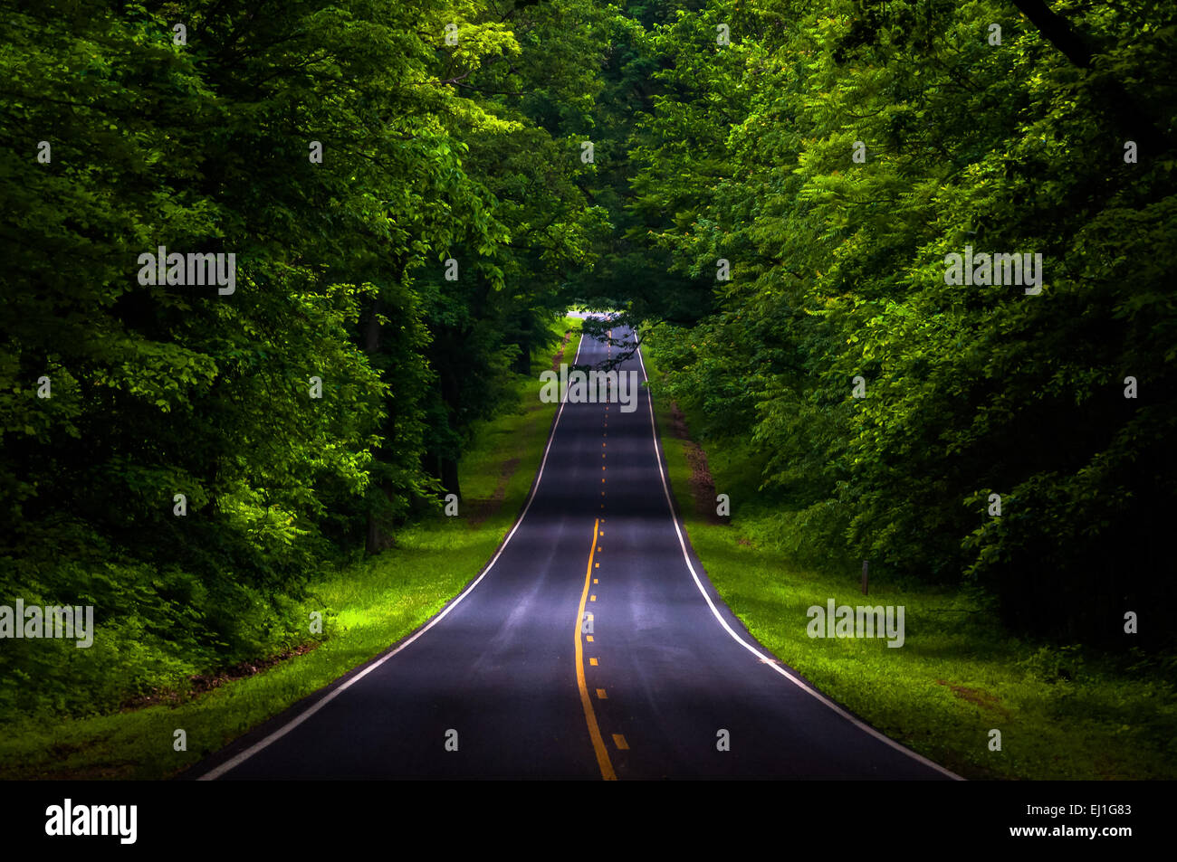 Skyline Drive in a heavily shaded forest area of Shenandoah National ...