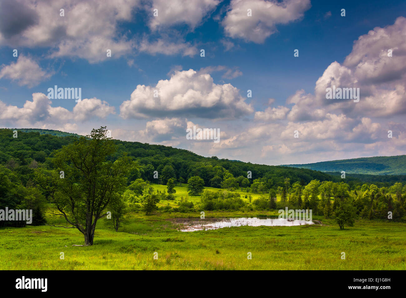 Small pond at Canaan Valley State Park, West Virginia Stock Photo - Alamy