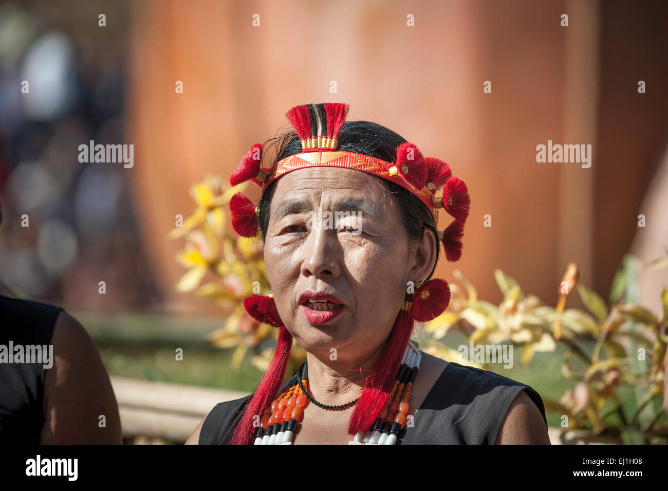 Traditional naga headgear hi-res stock photography and images - Alamy