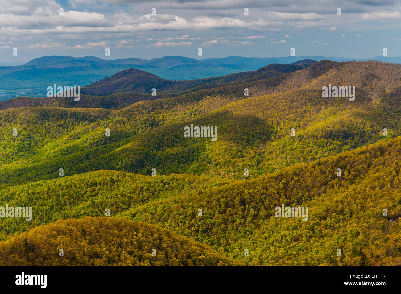Spring colors in the Appalachian Mountains, seen from Blackrock Summit ...