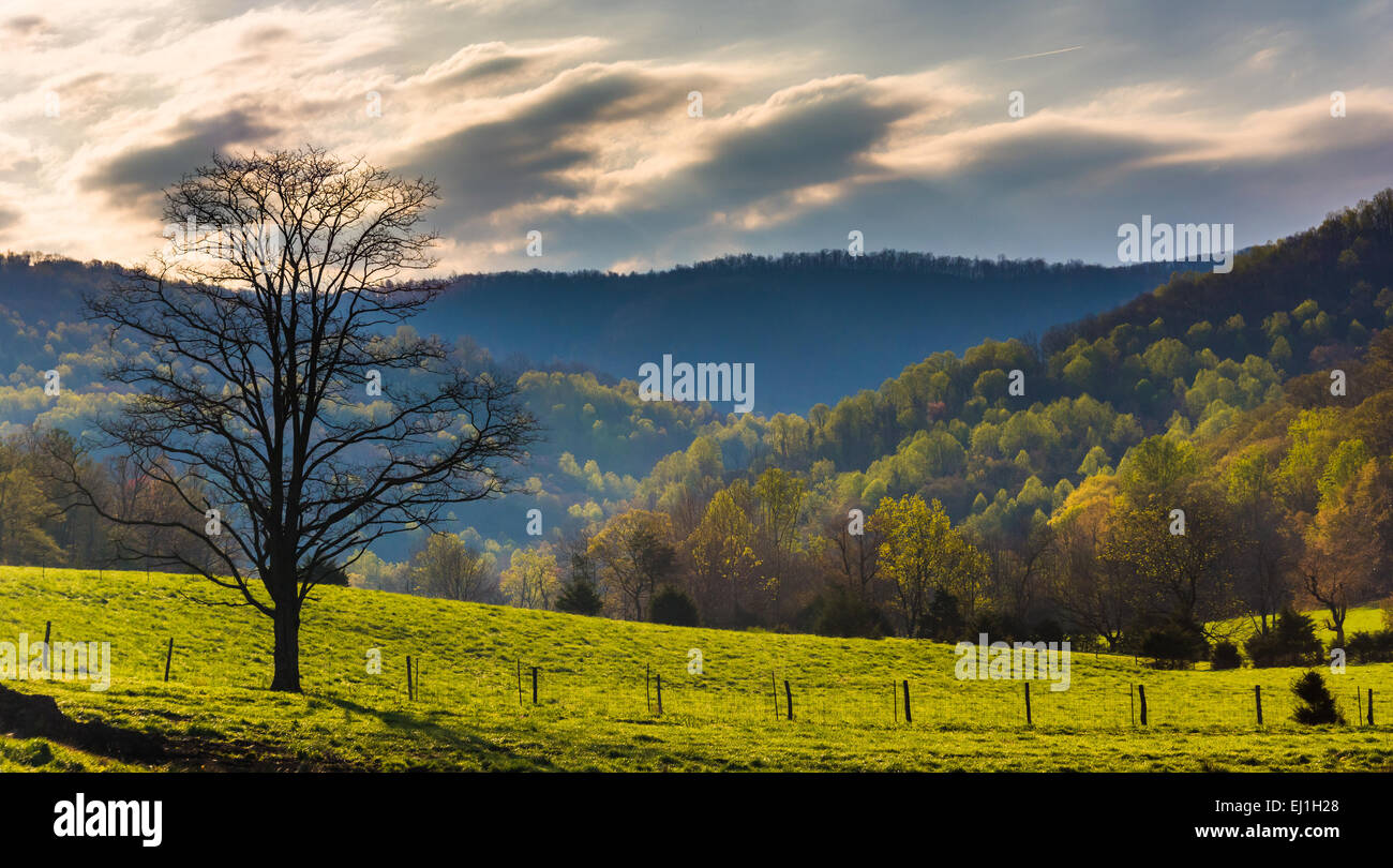 Spring colors in the hills of the Shenandoah Valley, Virginia Stock ...