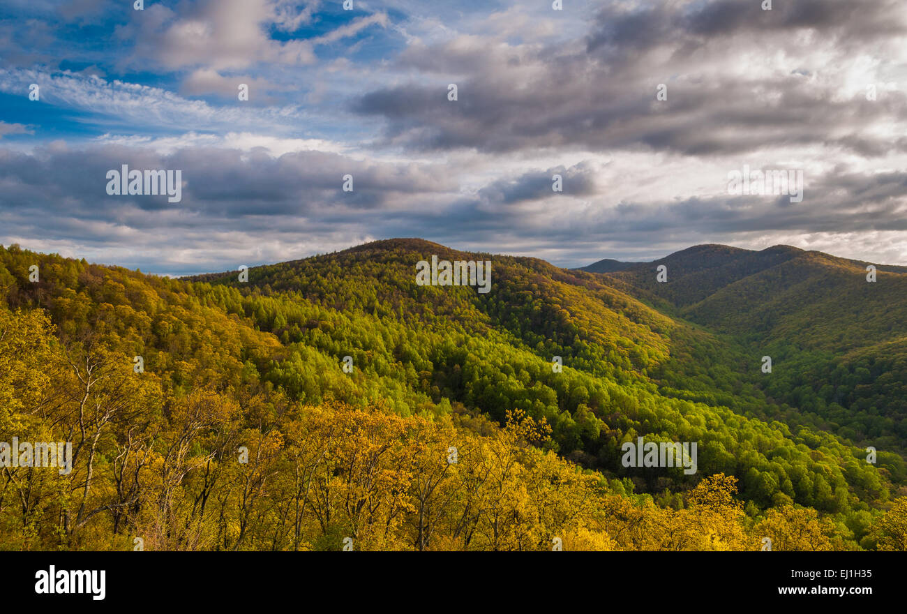 Skyline drive virginia road spring hi-res stock photography and images ...