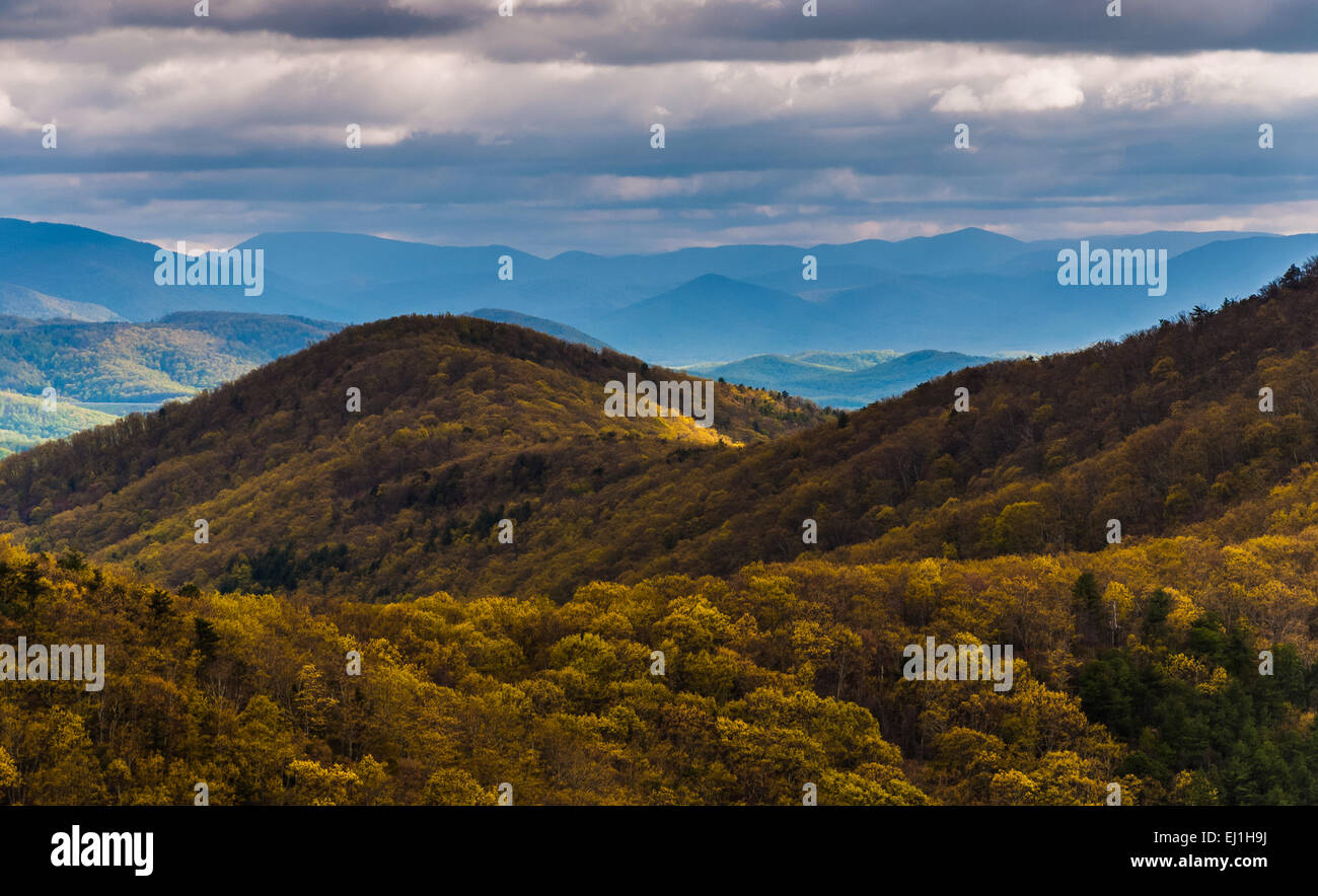 Spring yellows in the Blue Ridge Mountains, seen from Skyline Drive in ...