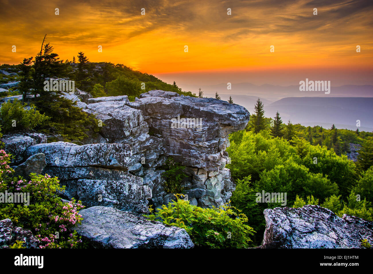 Sunrise at Bear Rocks Preserve, in Dolly Sods Wilderness, Monongahela ...