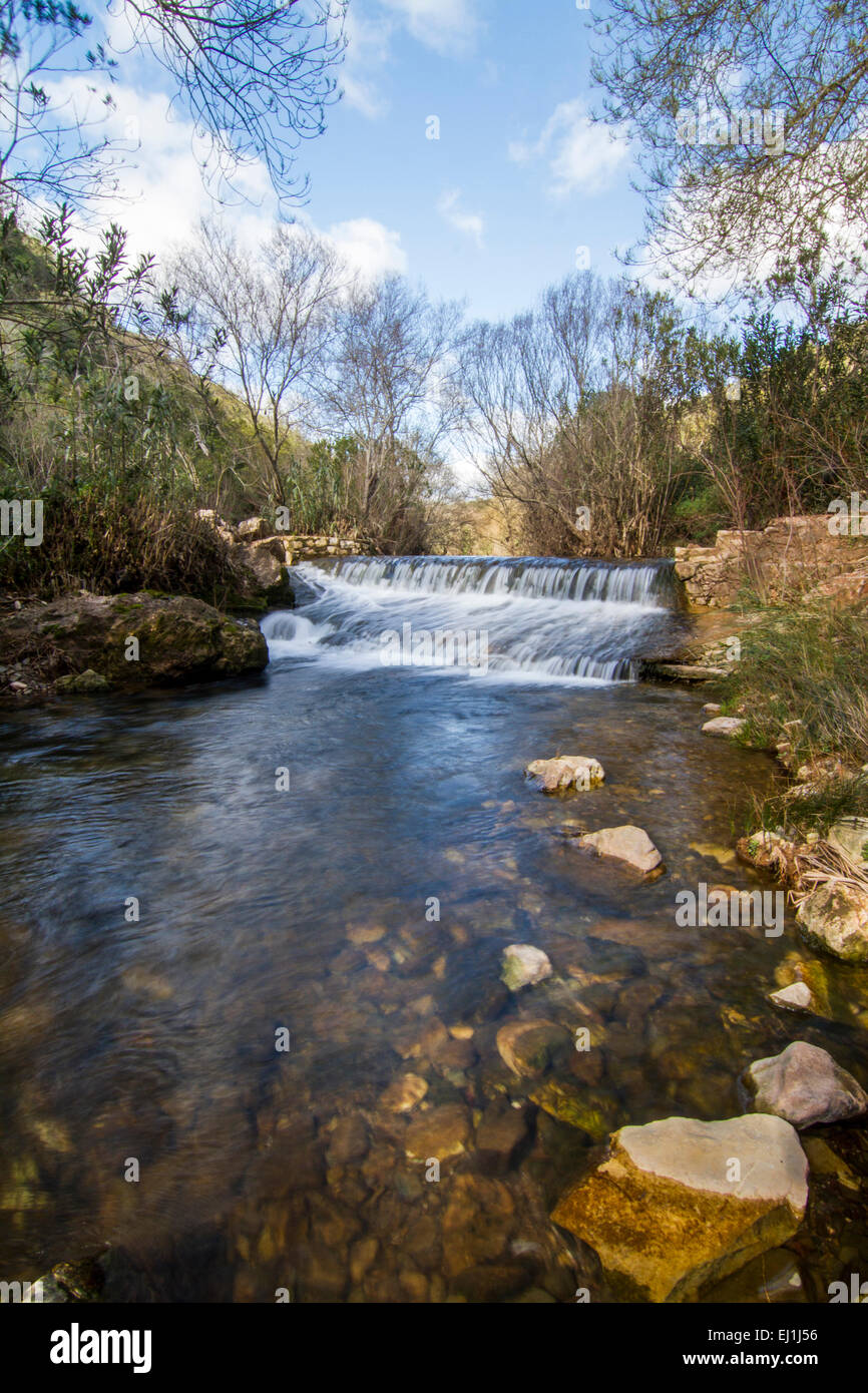 View of a fresh stream of water on the forest Stock Photo - Alamy