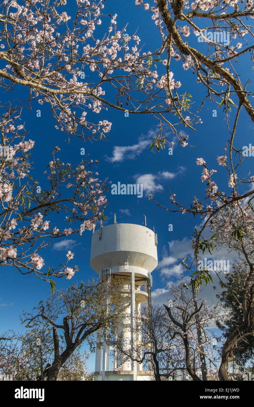 Almond orchard water hi-res stock photography and images - Alamy
