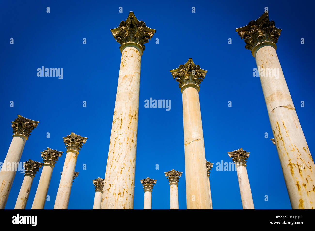 The Capitol Columns at the National Arboretum in Washington, DC Stock ...