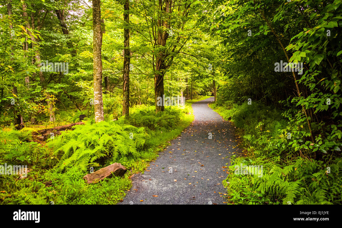 Limberlost trail shenandoah national park hi-res stock photography and ...