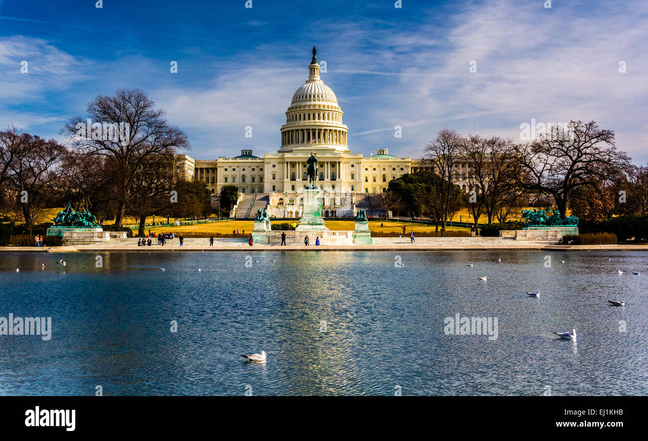 The United States Capitol and reflecting pool in Washington, DC Stock ...