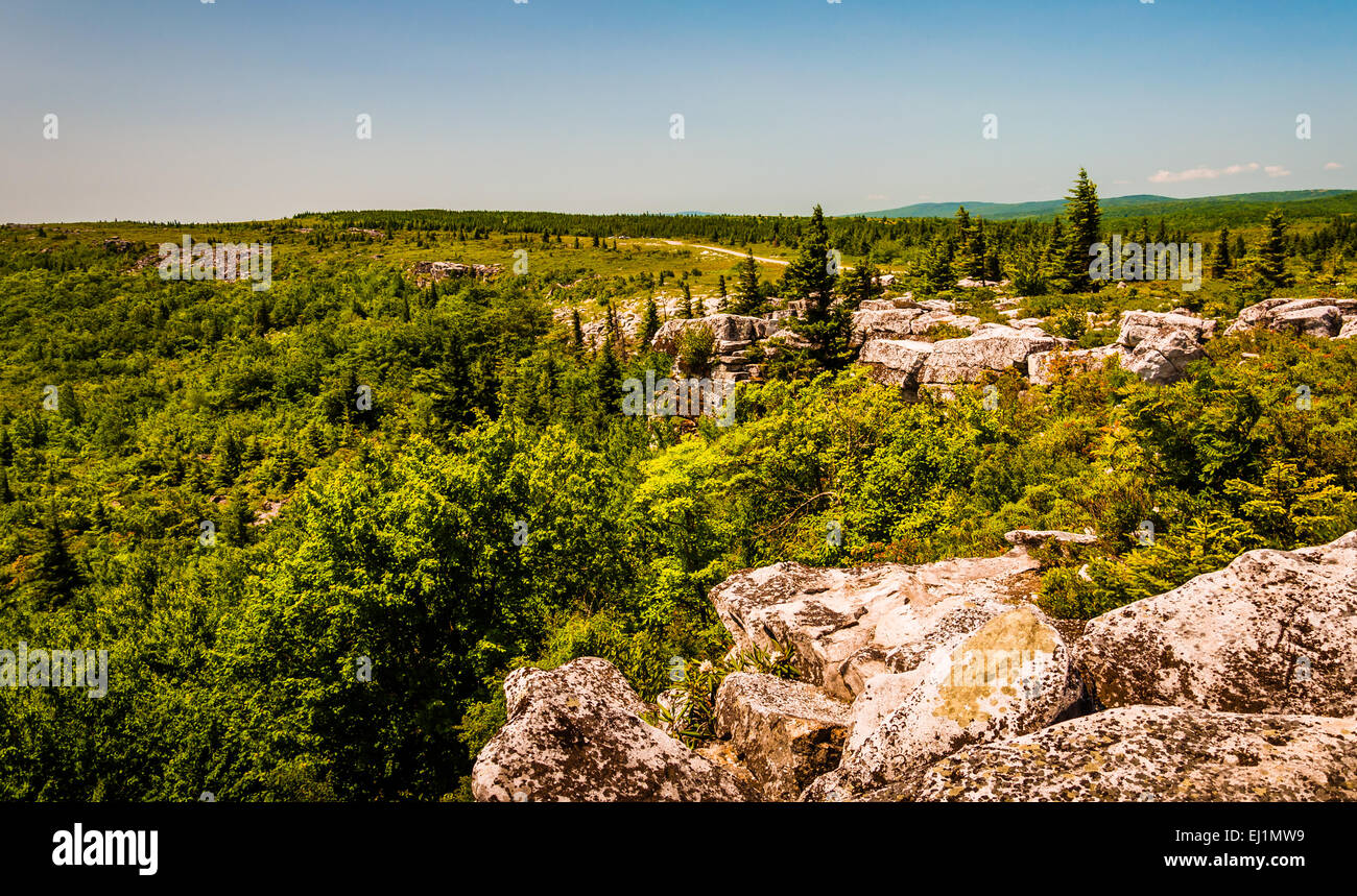 The rugged, rocky terrain of Bear Rocks, in Dolly Sods Wilderness ...
