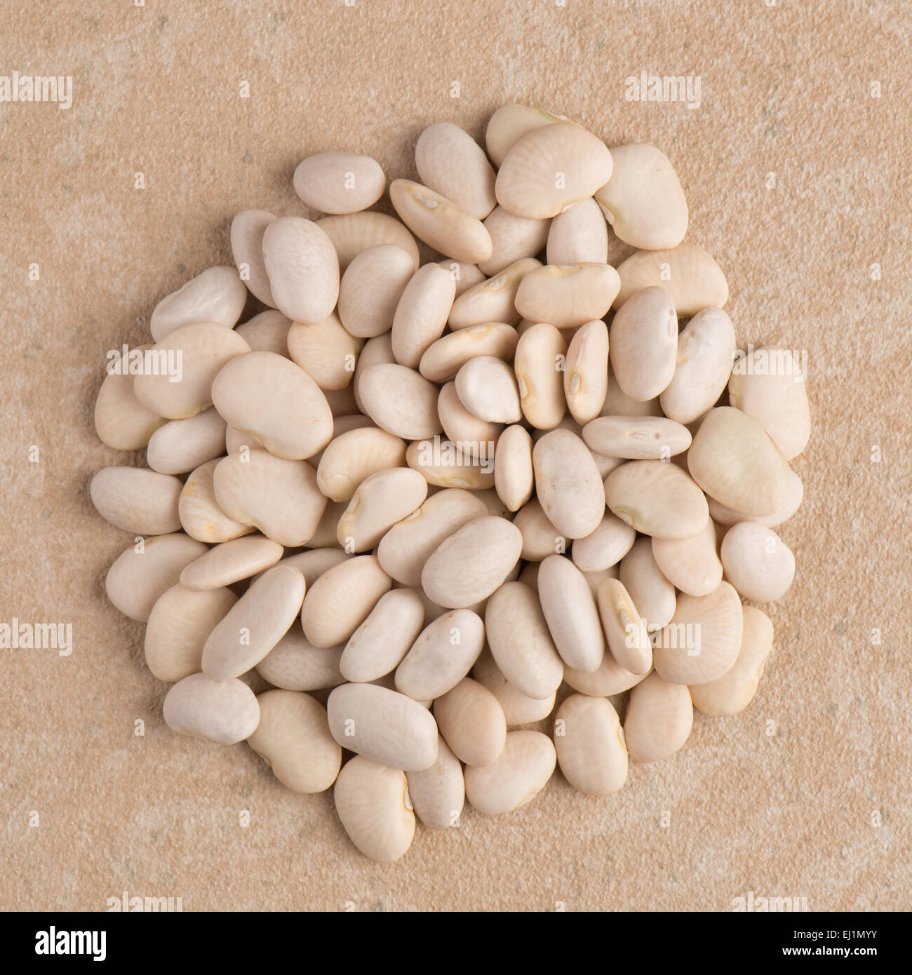 Top view of circle of white beans against beige vinyl background Stock ...