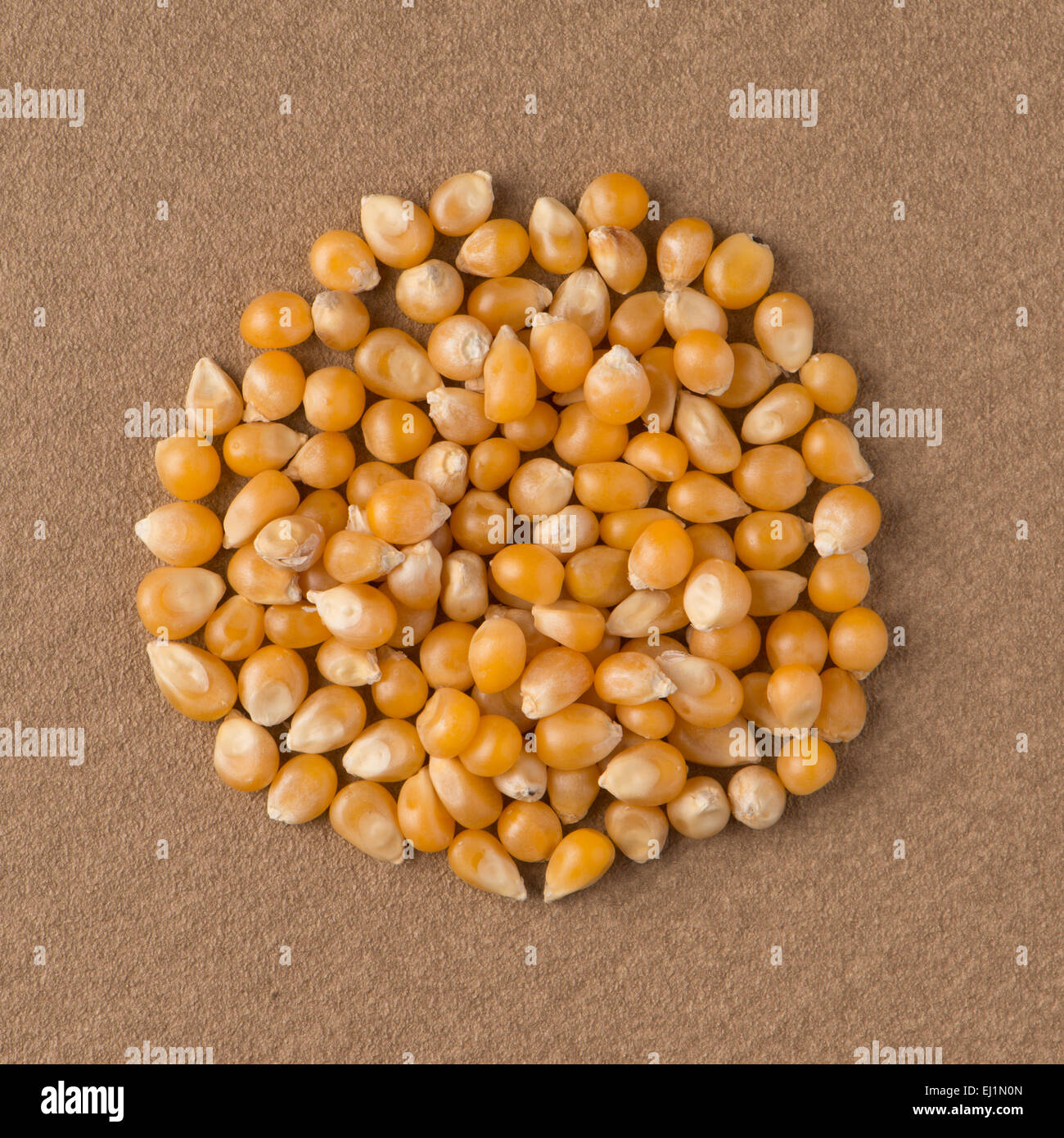 Top view of circle of corn against brown vinyl background Stock Photo ...