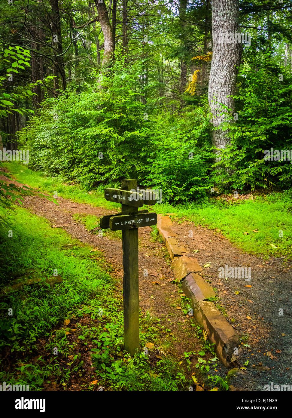 Trail marker along the Limberlost Trail, in Shenandoah National Park ...