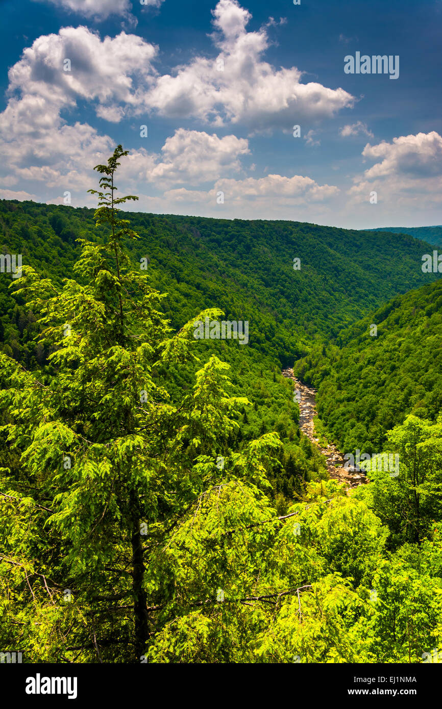 Blackwater canyon hi-res stock photography and images - Alamy
