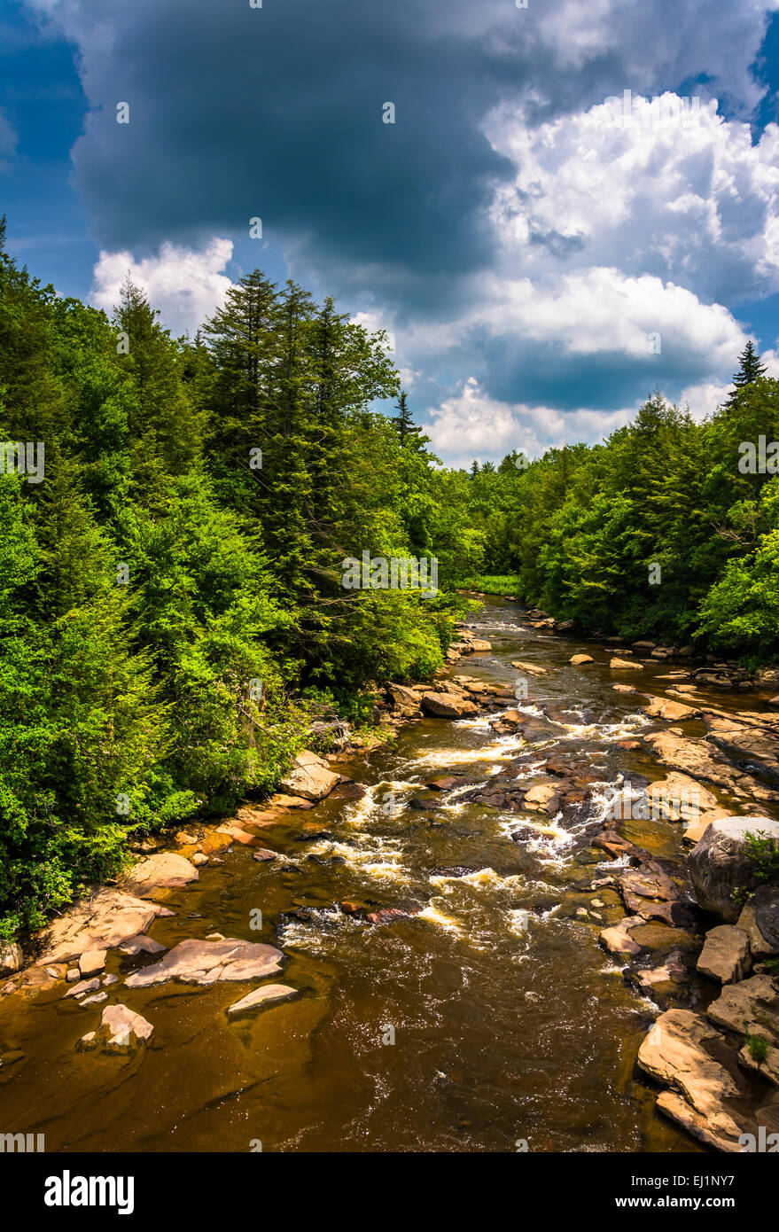 View of the Blackwater River from a bridge at Blackwater Falls State ...