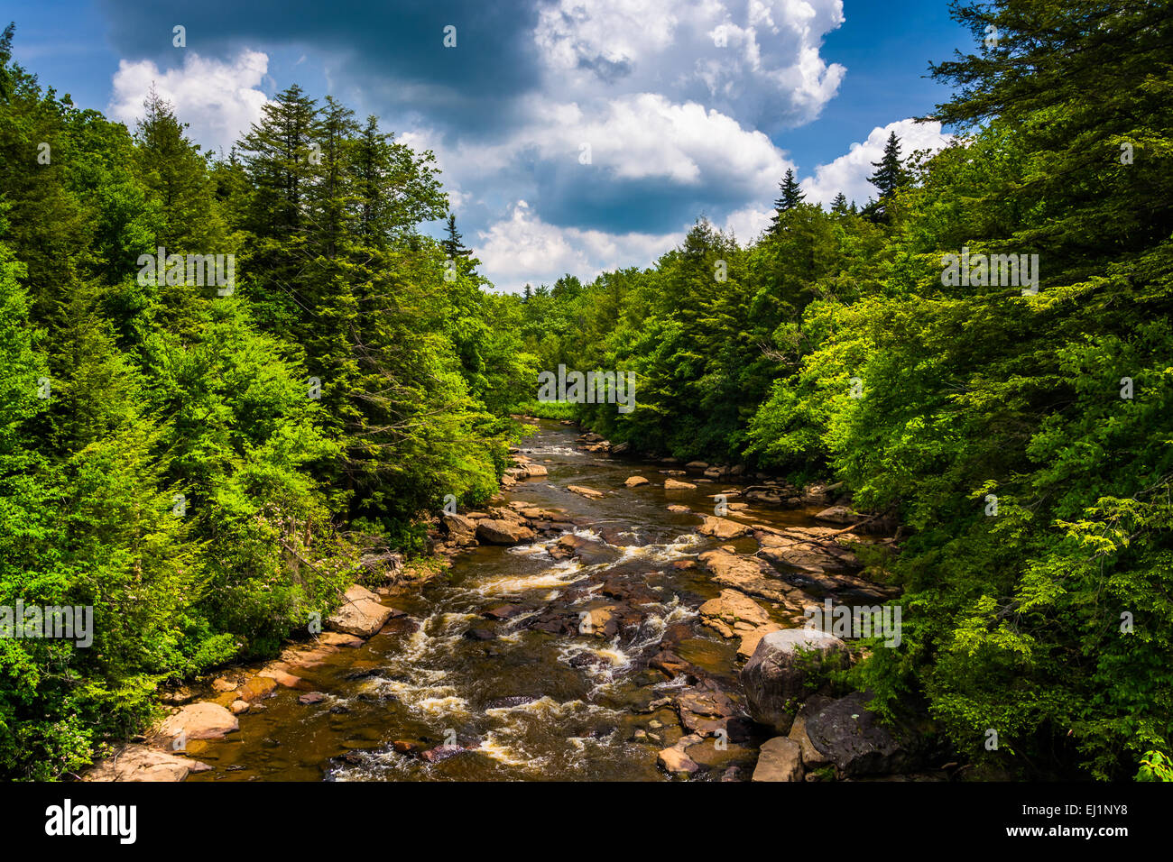 View of the Blackwater River from a bridge at Blackwater Falls State ...