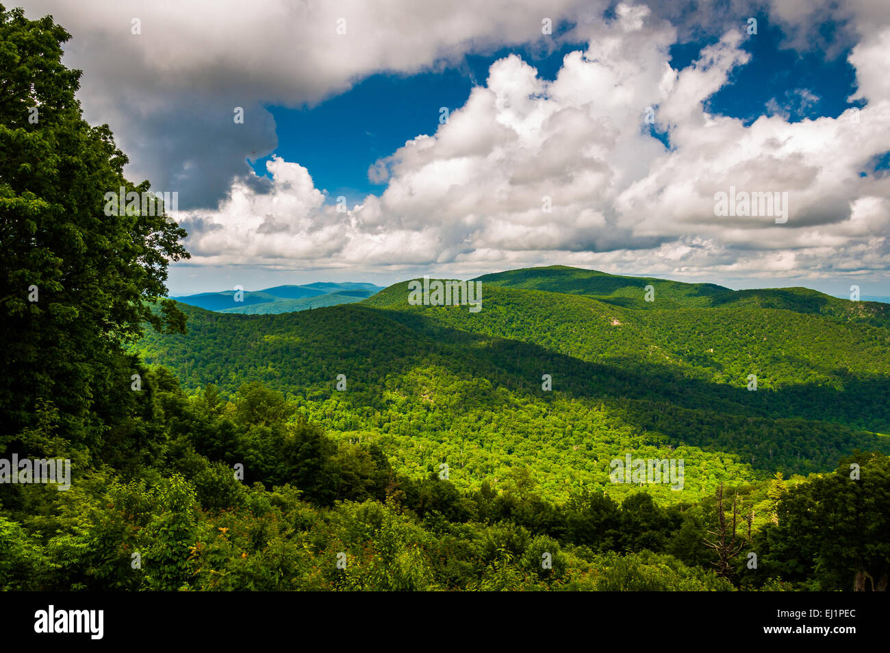 View of the Blue Ridge and beautiful summer clouds, seen from Skyline Drive in Shenandoah ...