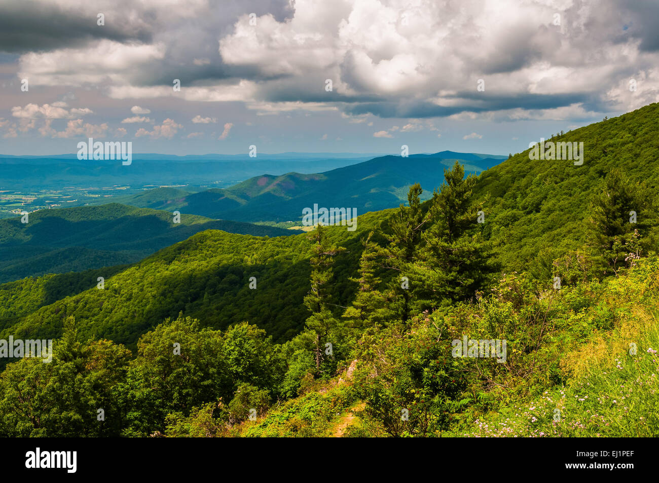 View of the Blue Ridge from an overlook on Skyline Drive in Shenandoah ...