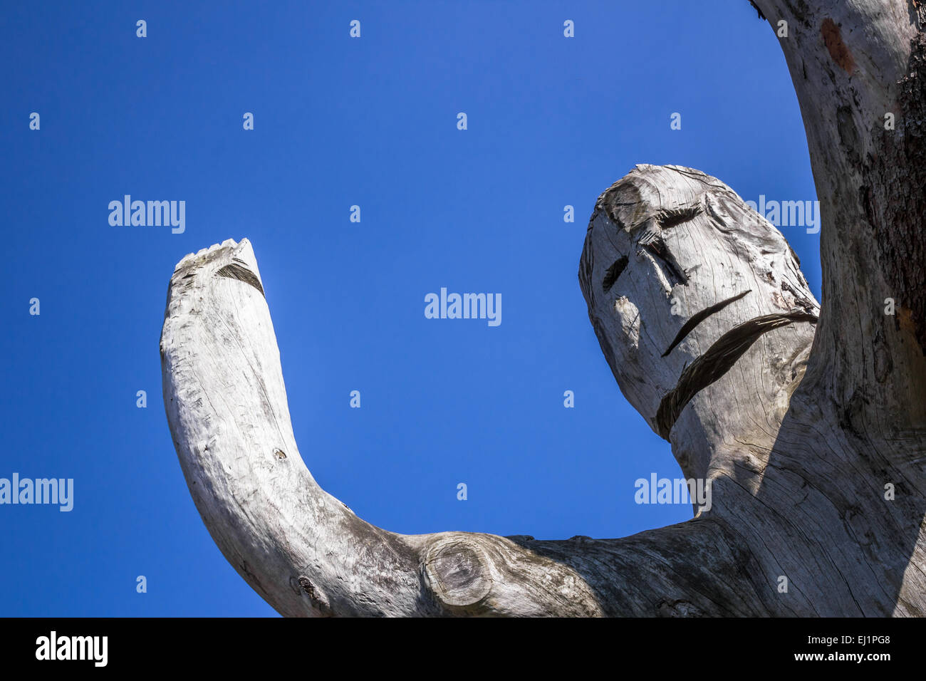 Wood carved tree human face hi-res stock photography and images - Alamy