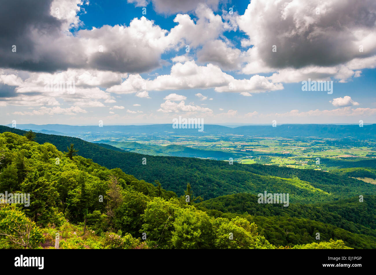 View of the Shenandoah Valley from an overlook on Skyline Drive in ...