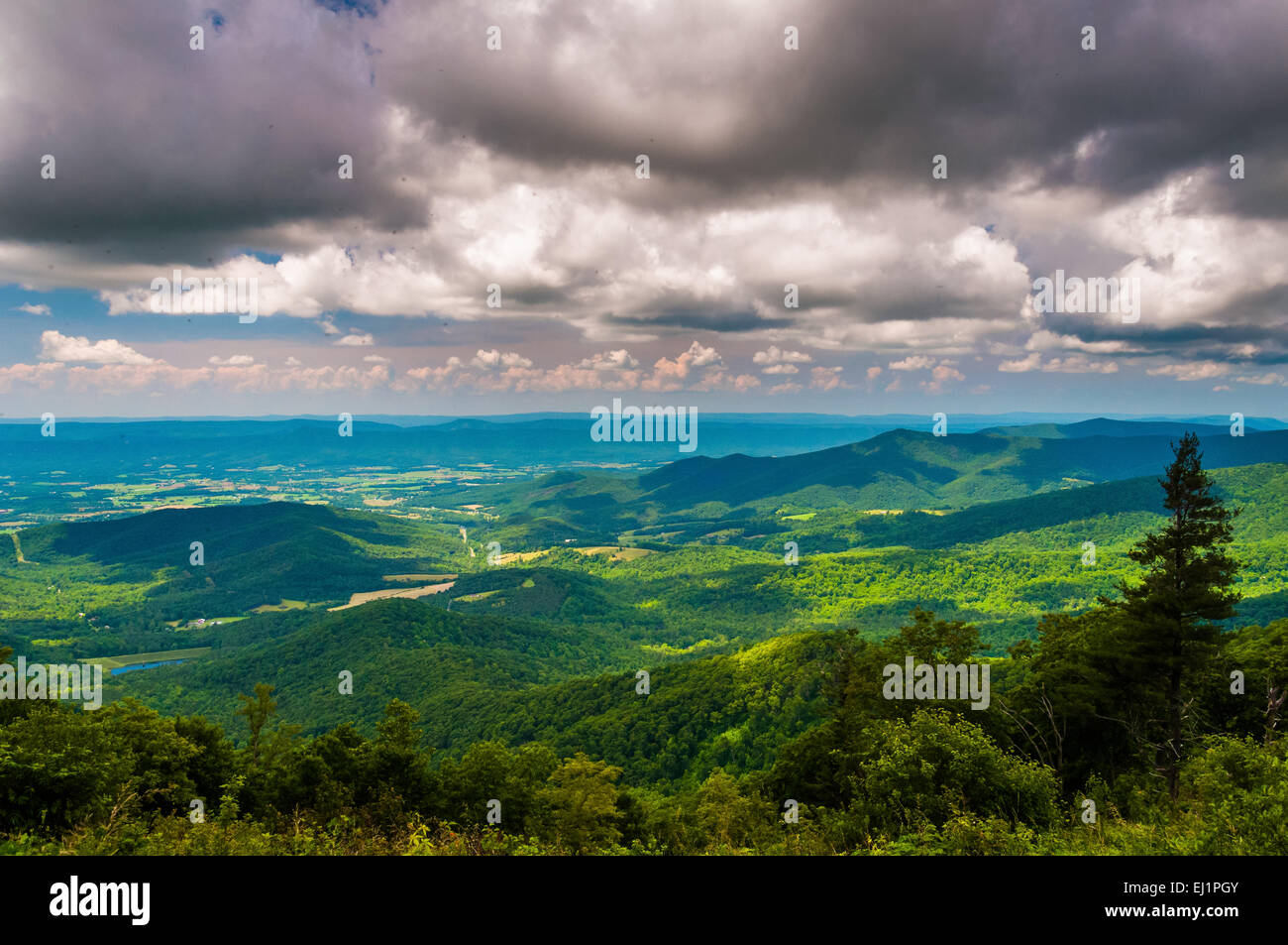 View of the Shenandoah Valley from an overlook on Skyline Drive in ...
