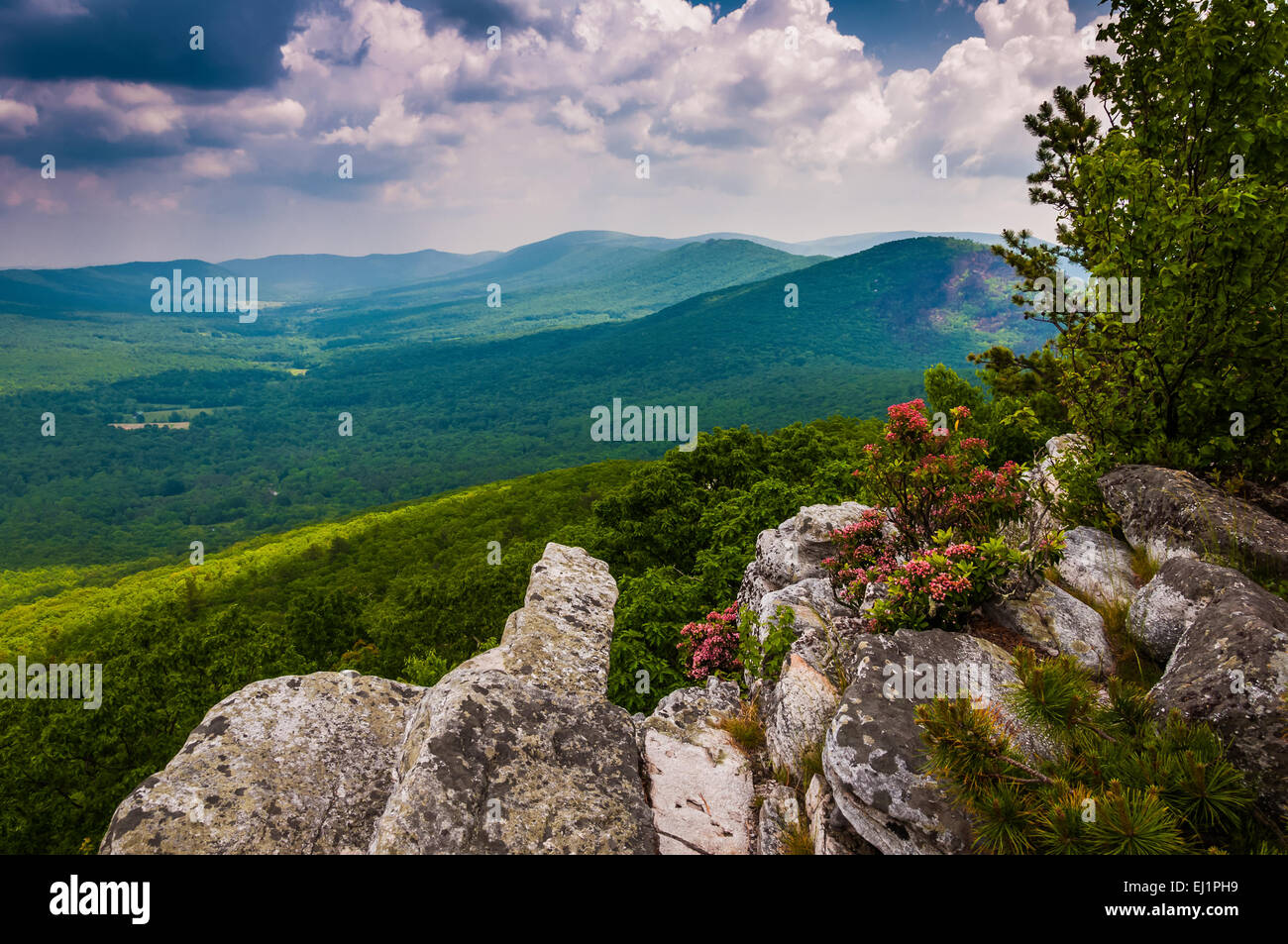Trout run valley hi-res stock photography and images - Alamy