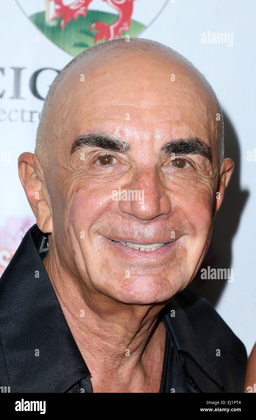 Brent Shapiro Foundation For Alcohol And Drug Awareness' Annual "Summer ...