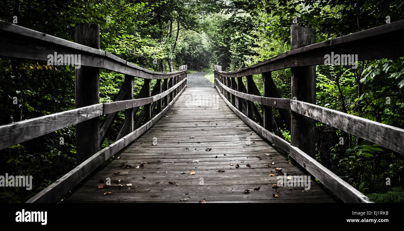 Limberlost Trail Shenandoah National Park High Resolution Stock ...