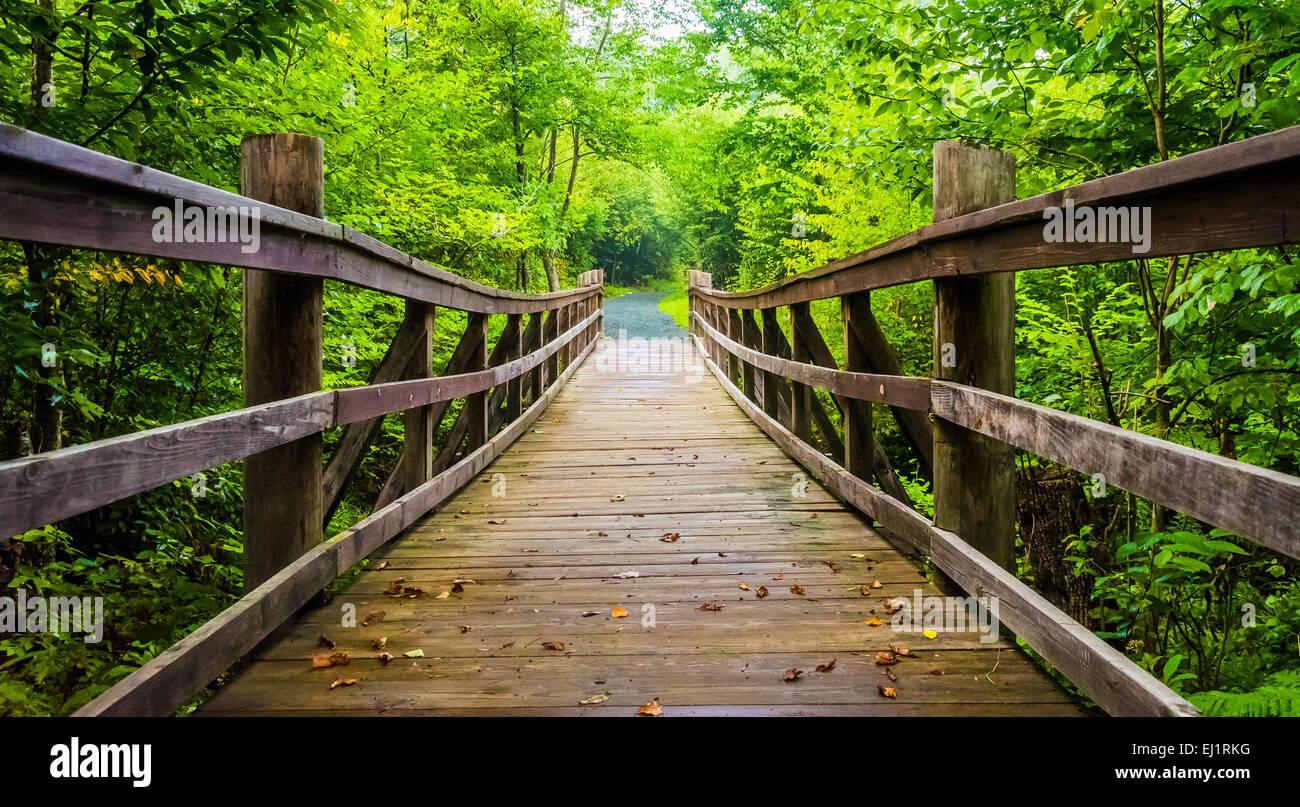 Limberlost Trail Shenandoah National Park High Resolution Stock ...