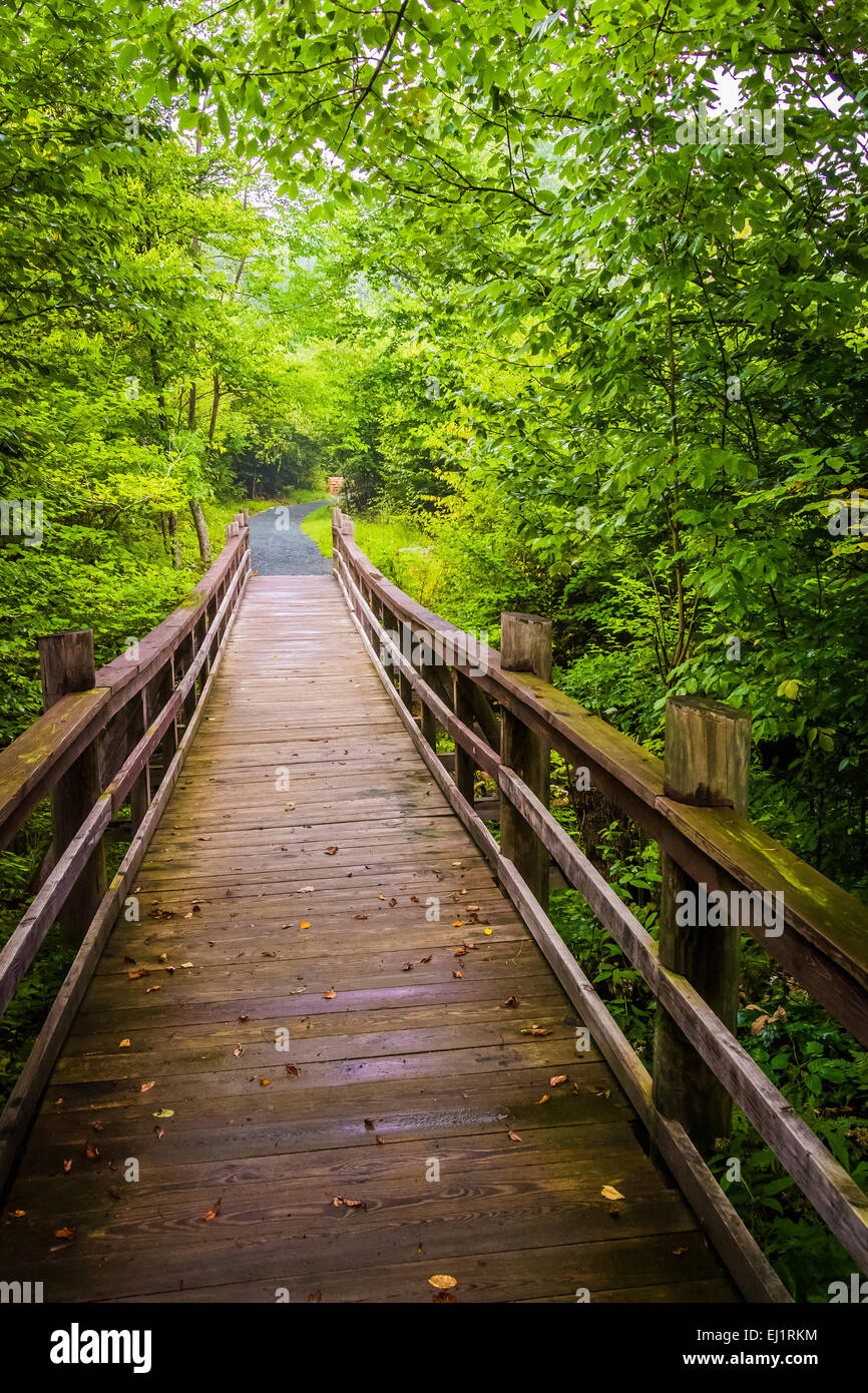 Limberlost trail shenandoah national park hi-res stock photography and ...