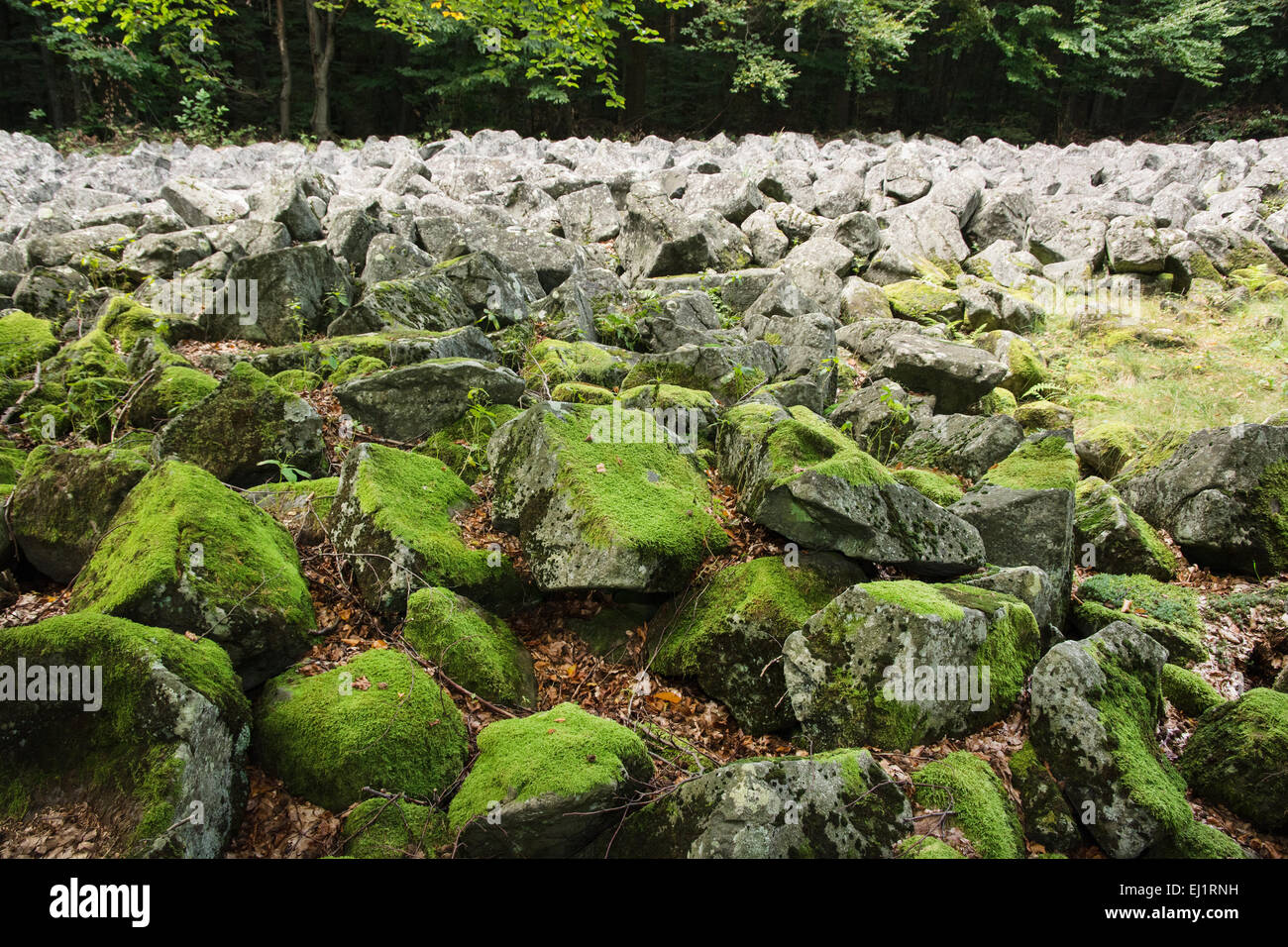 Pyroxene andesite hi-res stock photography and images - Alamy