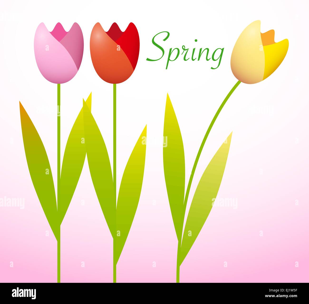 Three colorful tulips on a spring background Stock Vector Image & Art ...