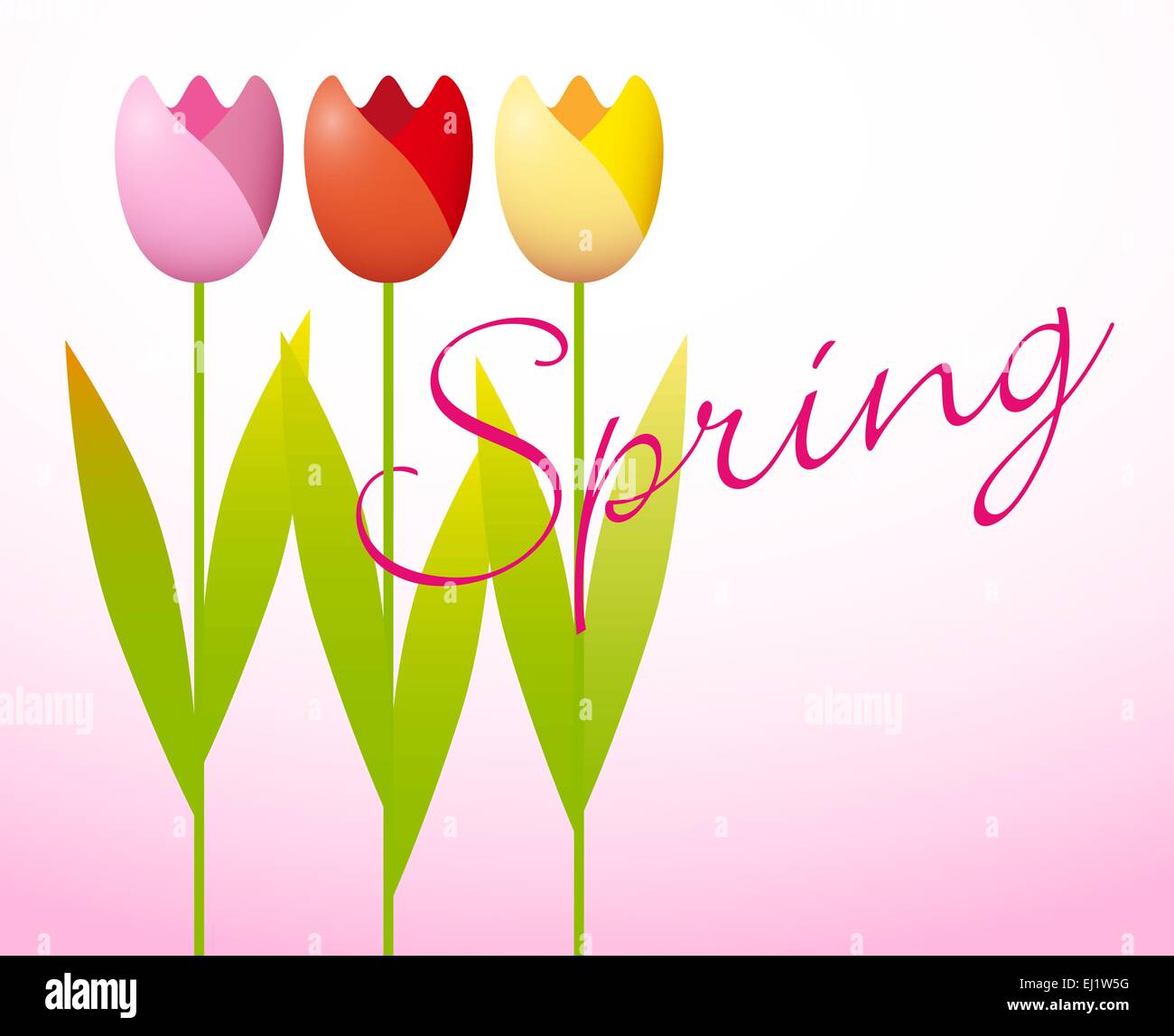 Three colorful tulips on a spring background Stock Vector Image & Art ...