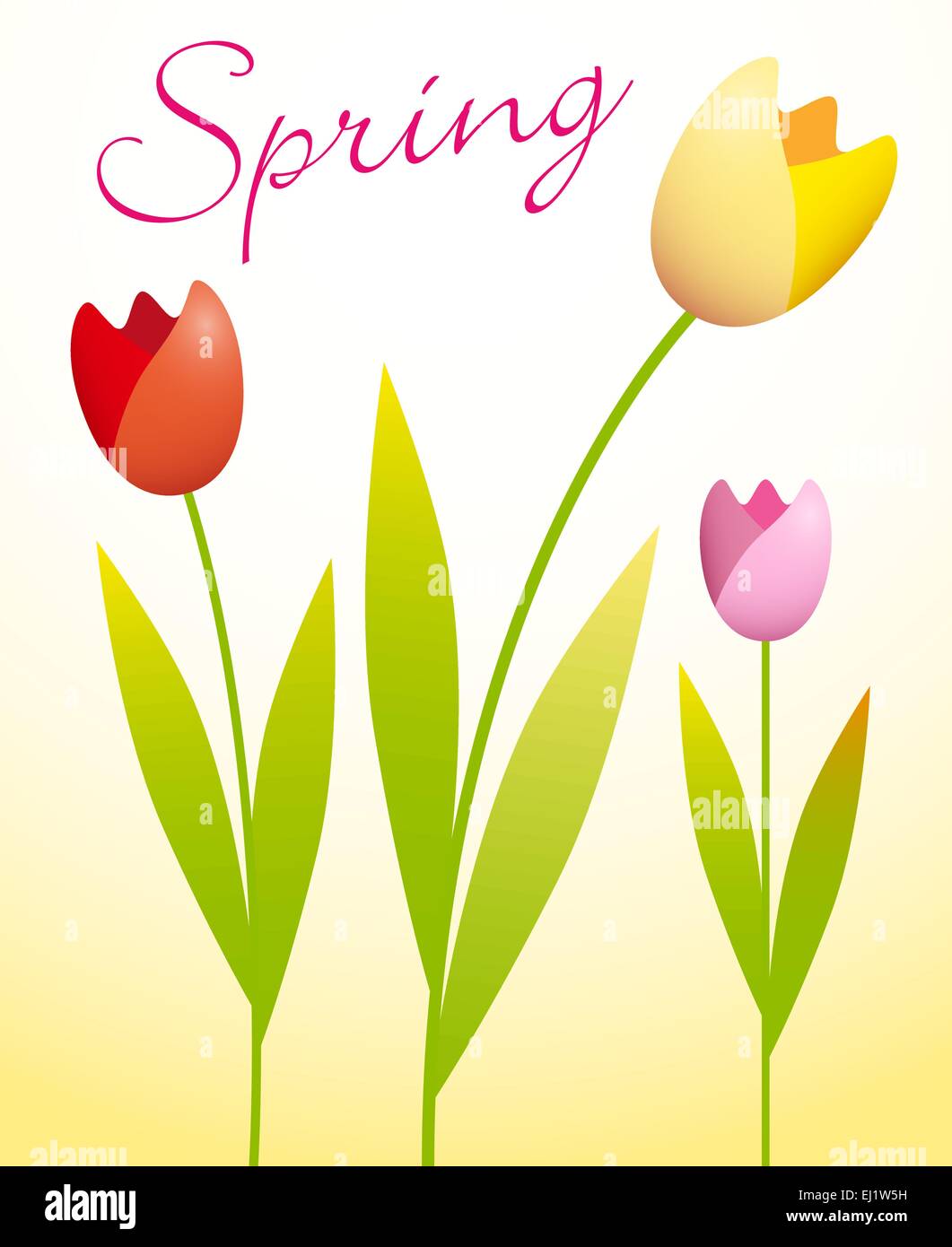 Three colorful tulips on a spring background Stock Vector Image & Art ...