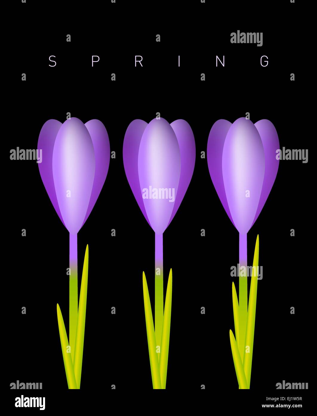 Three crocus Stock Vector Images - Alamy