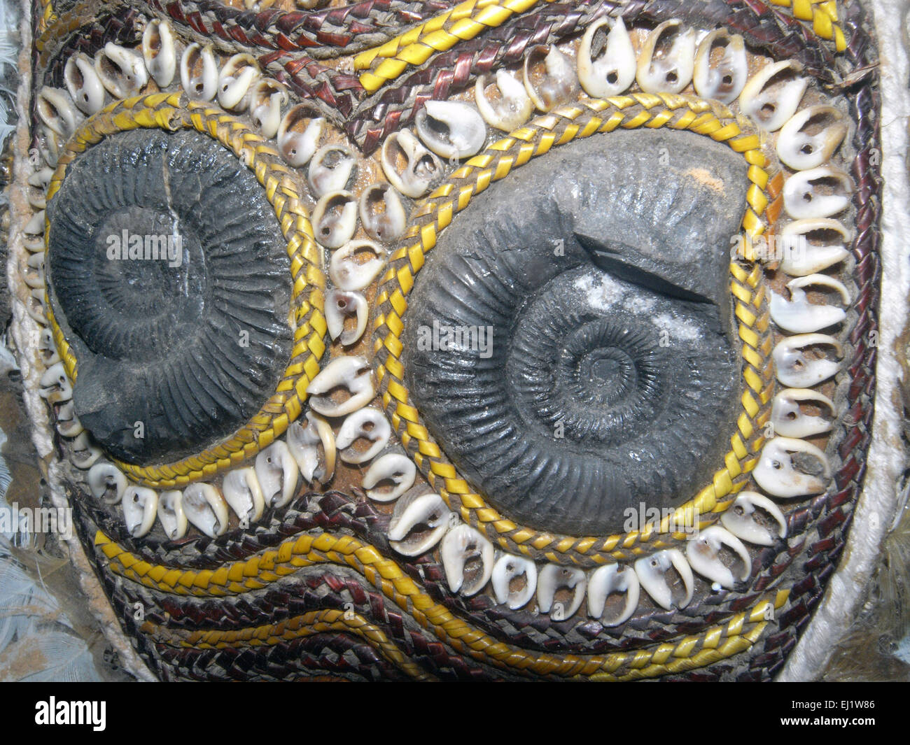Ammonite fossils hi-res stock photography and images - Alamy