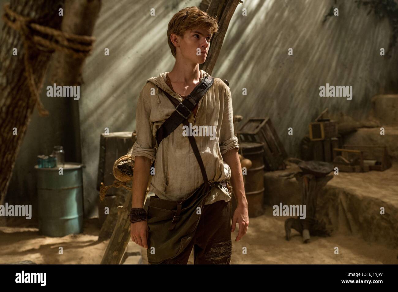 The Maze Runner Year : 2014 USA Director : Wes Ball Thomas Brodie ...