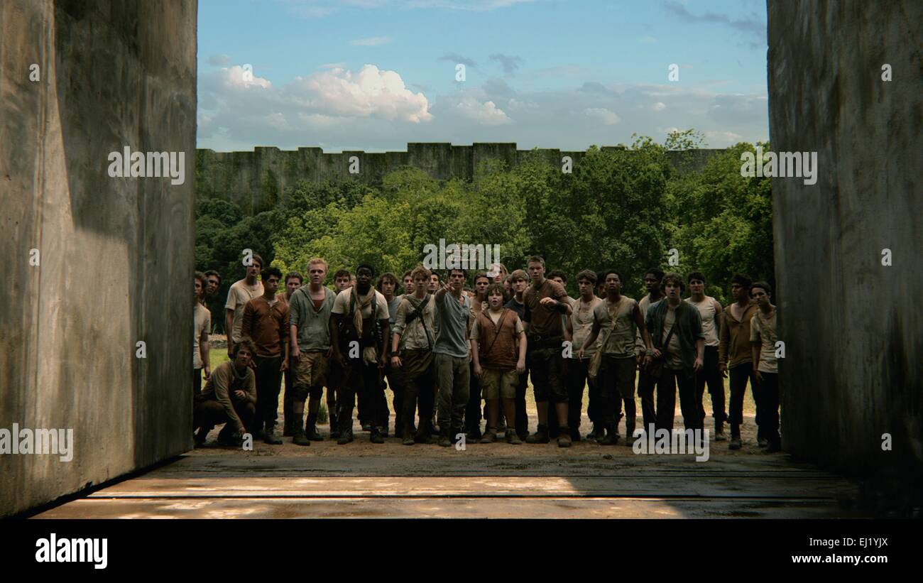 The Maze Runner Year : 2014 USA Director : Wes Ball Thomas Brodie ...