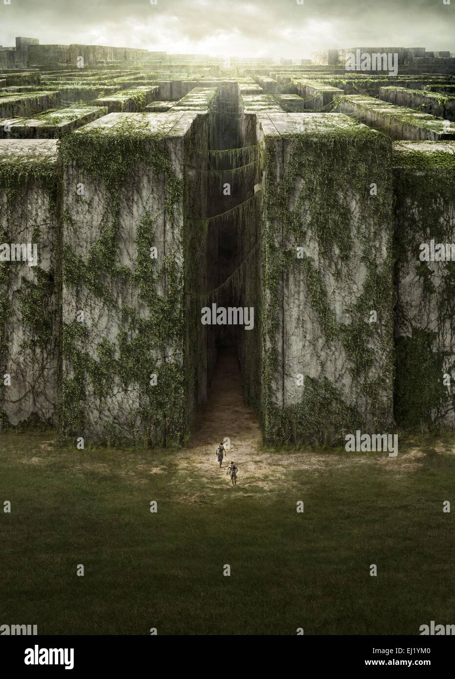 The Maze Runner Year : 2014 USA Director : Wes Ball Movie poster (sans ...