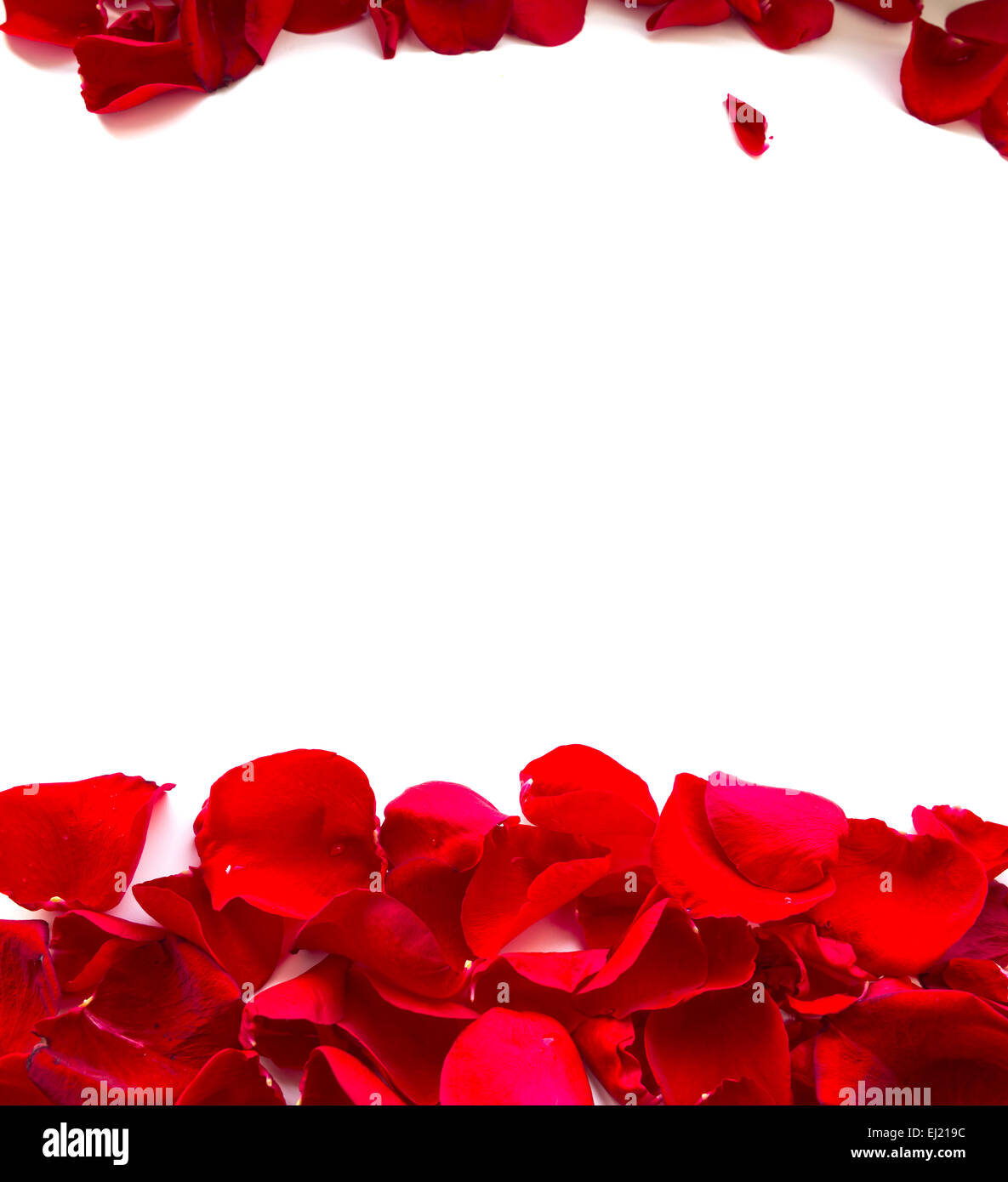 Rose Petals Border Stock Photo - Alamy