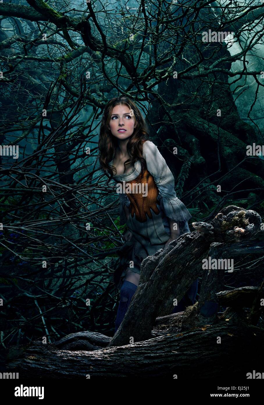 Into The Woods Movie Poster Meryl Streep