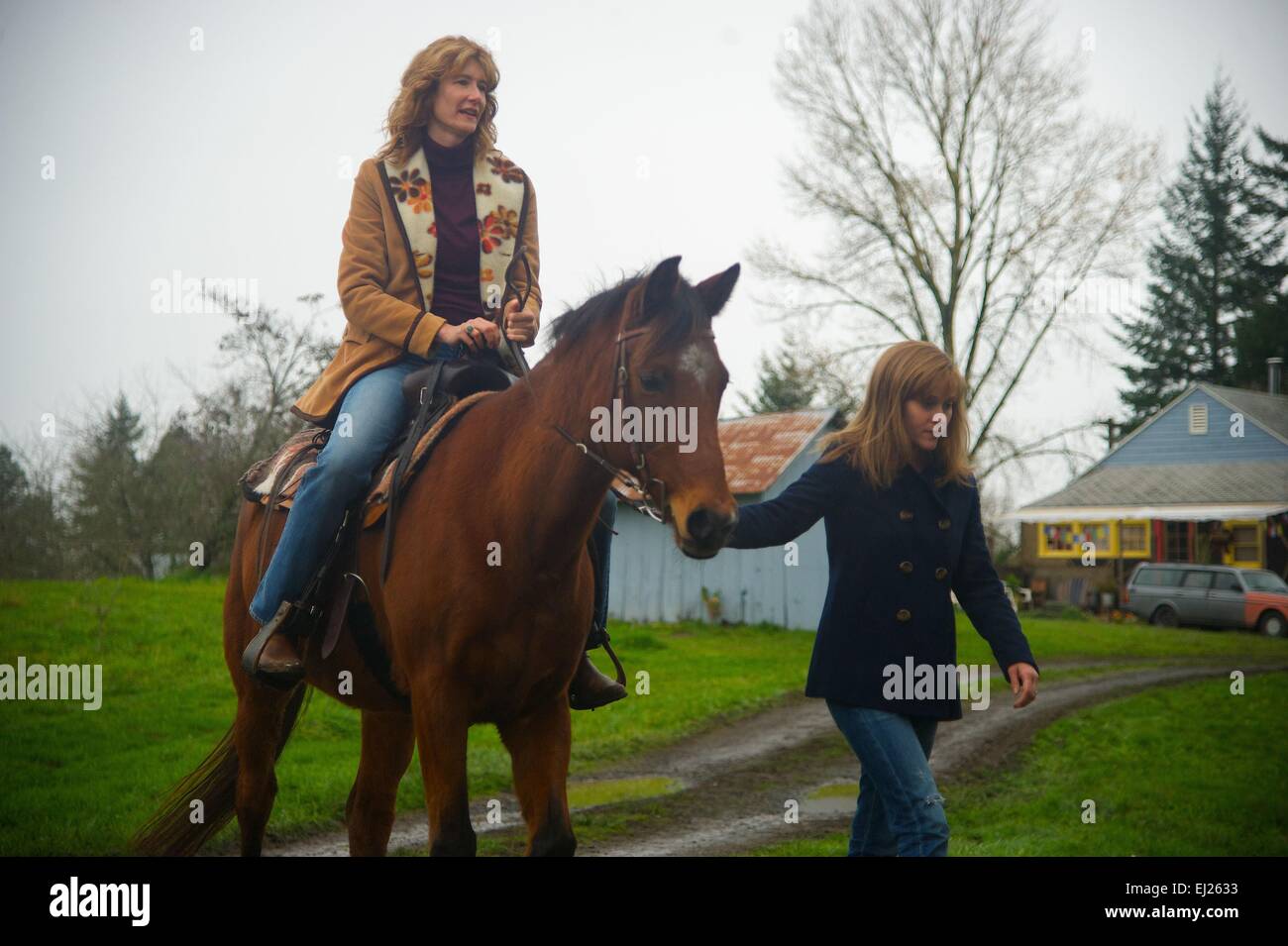 Wild Year : 2014 USA Director : Jean-Marc Vallee Laura Dern, Reese ...