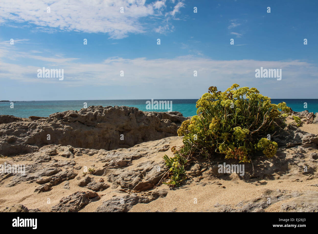 Exotic beaches - Crete, Greece Stock Photo - Alamy