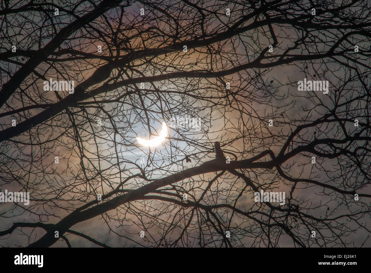 Solar eclipse of sun on 20/03/2015 from garden in Gloucestershire ...