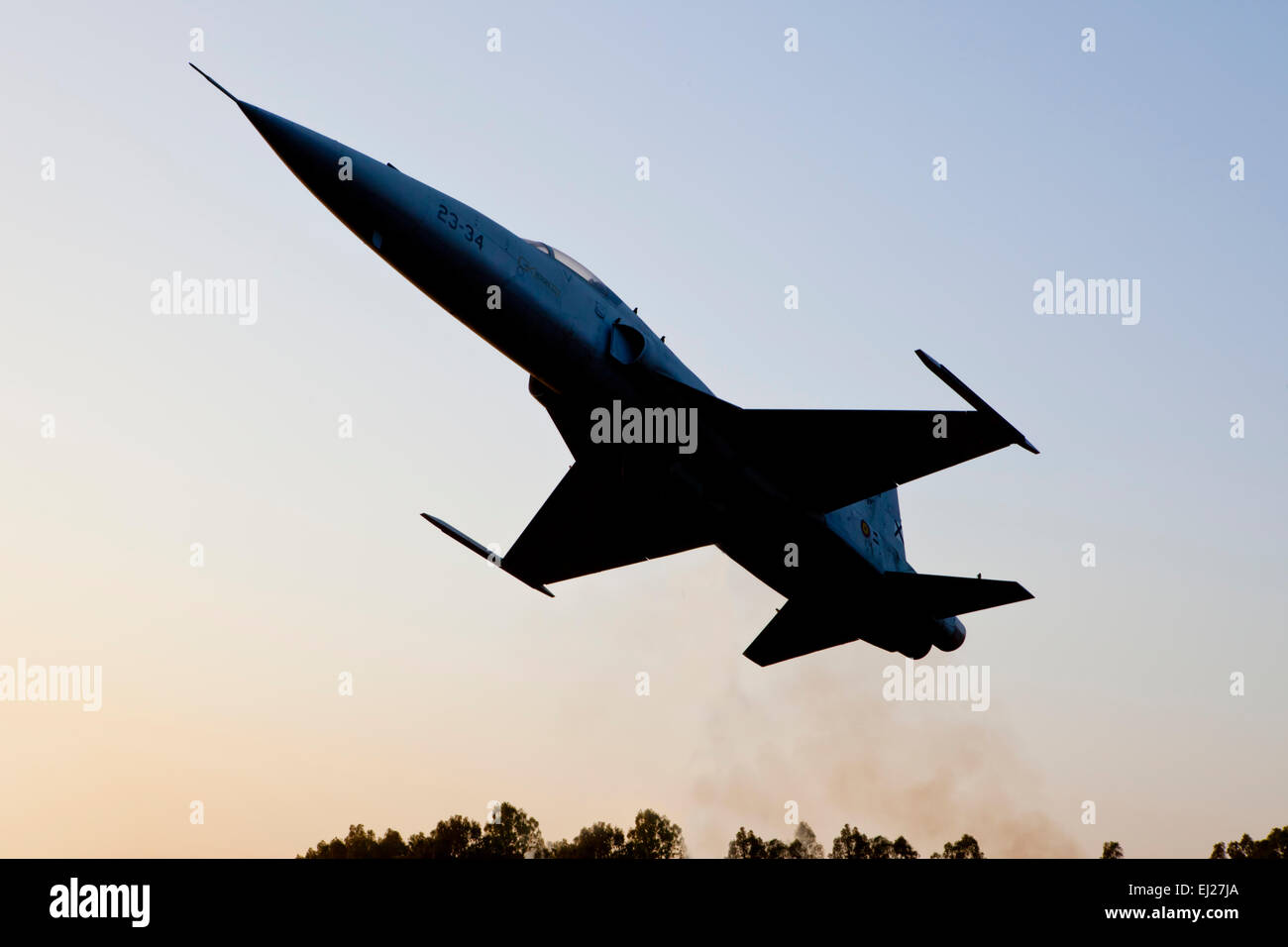 BADAJOZ, SPAIN - MARCH 13, 2015: Retired spanish CF-5 (CF-116 Freedom ...