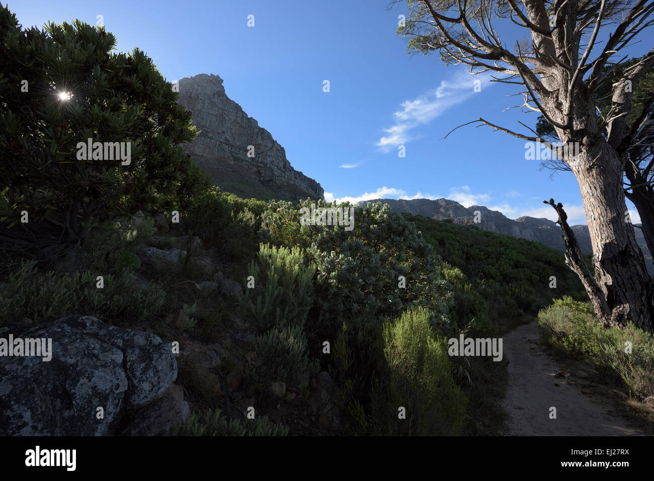 Pipe track hiking trail hi-res stock photography and images - Alamy